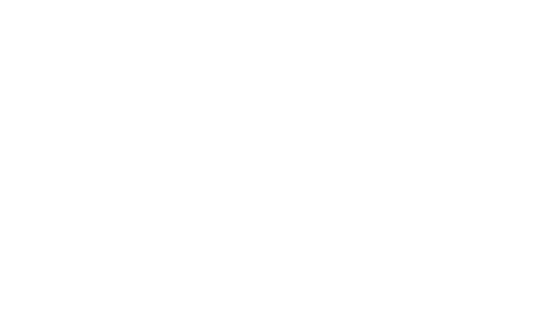 Cinnamon Stay Munnar